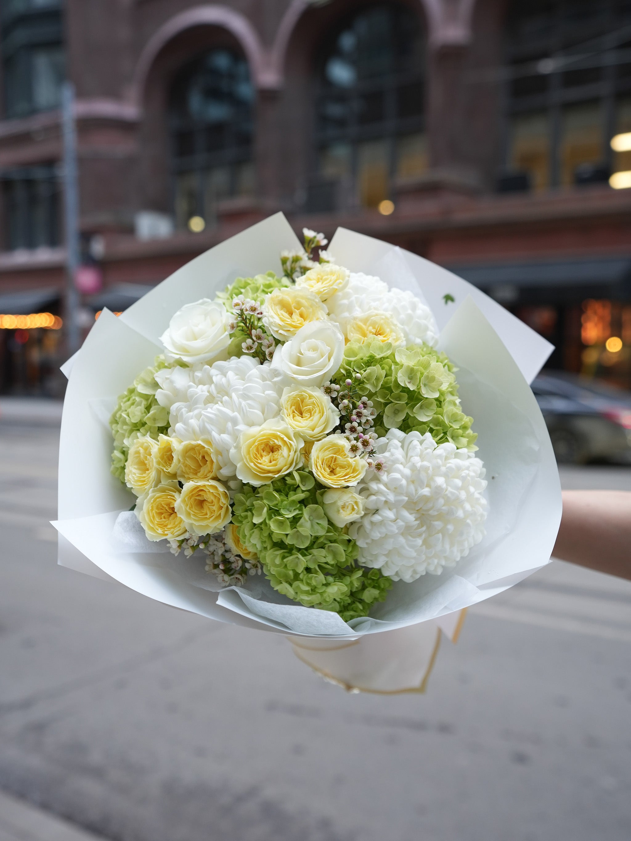 Reddot - Flower & Plant Free Delivery | Toronto Flower Shop – Toronto ...