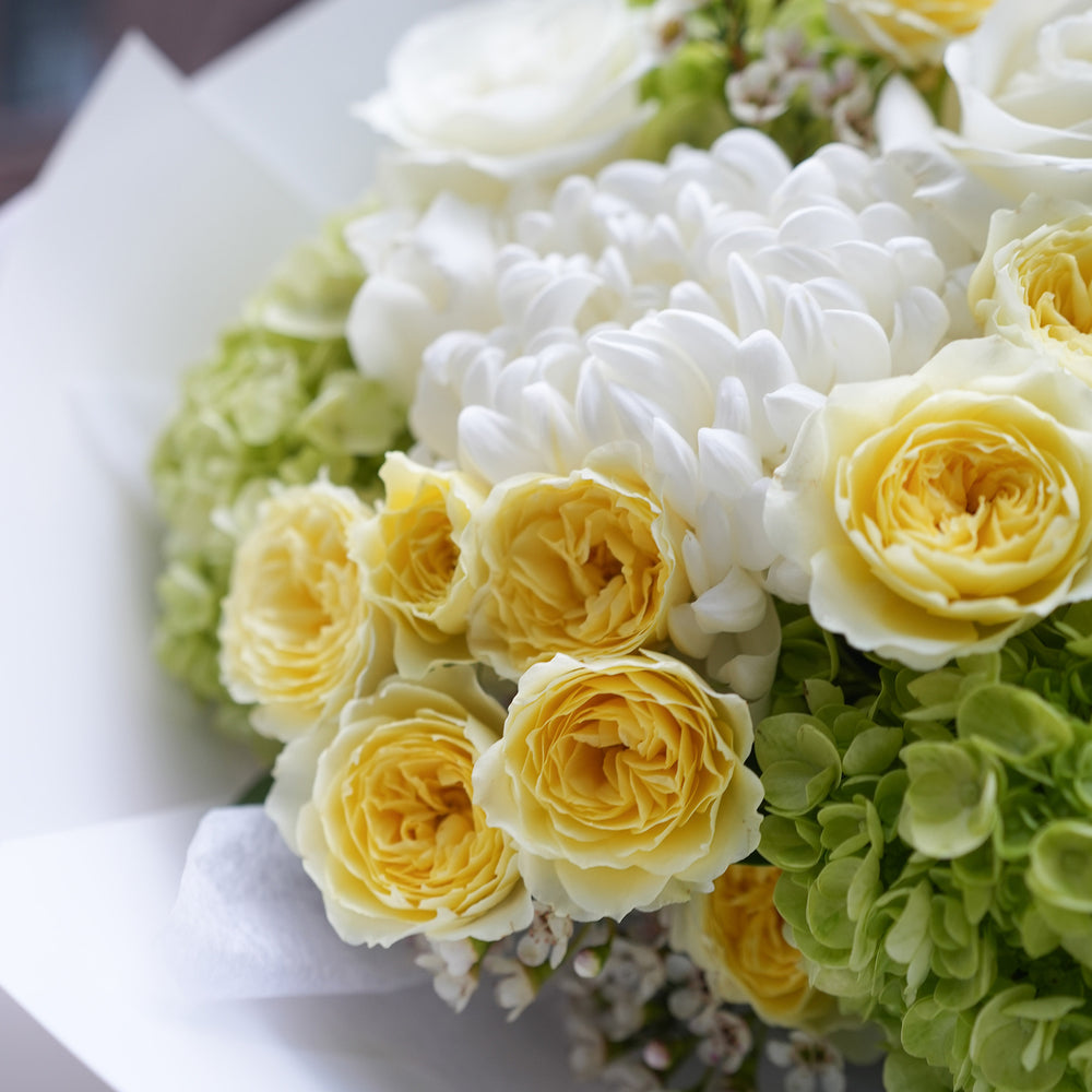 Reddot - Flower & Plant Free Delivery | Toronto Flower Shop – Toronto ...