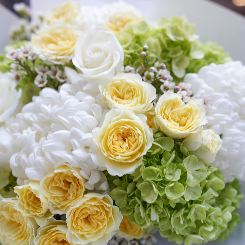 Reddot - Flower & Plant Free Delivery | Toronto Flower Shop – Toronto ...