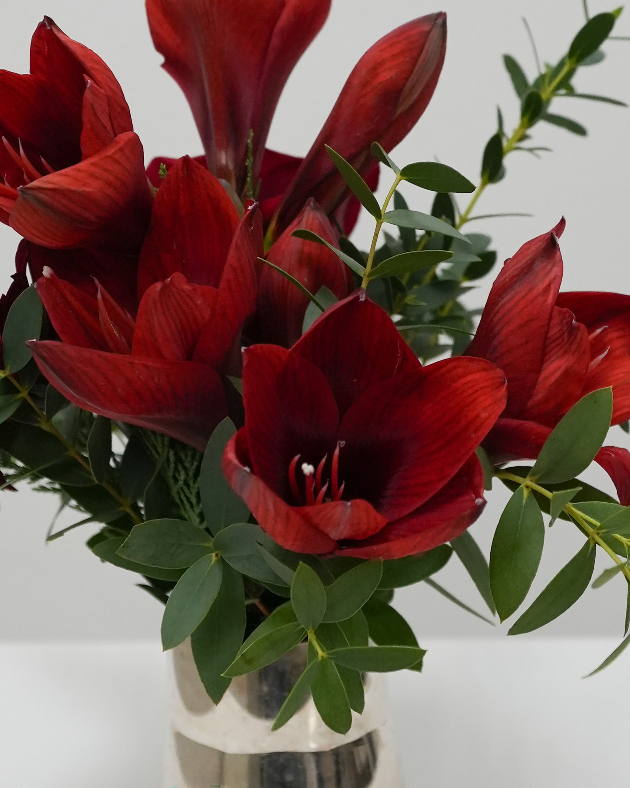 Fading Flame - Flower & Plant Free Delivery | Toronto Flower Shop – Toronto Flower Gallery