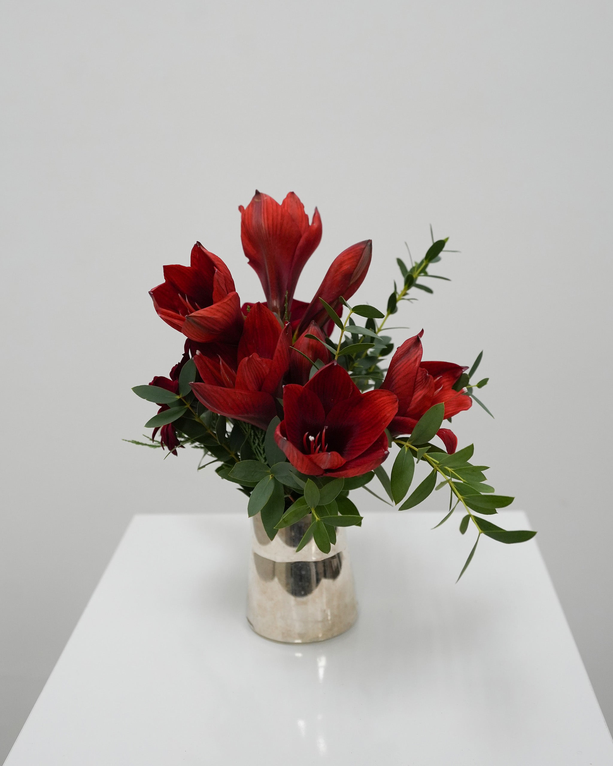 Fading Flame - Flower & Plant Free Delivery | Toronto Flower Shop – Toronto Flower Gallery
