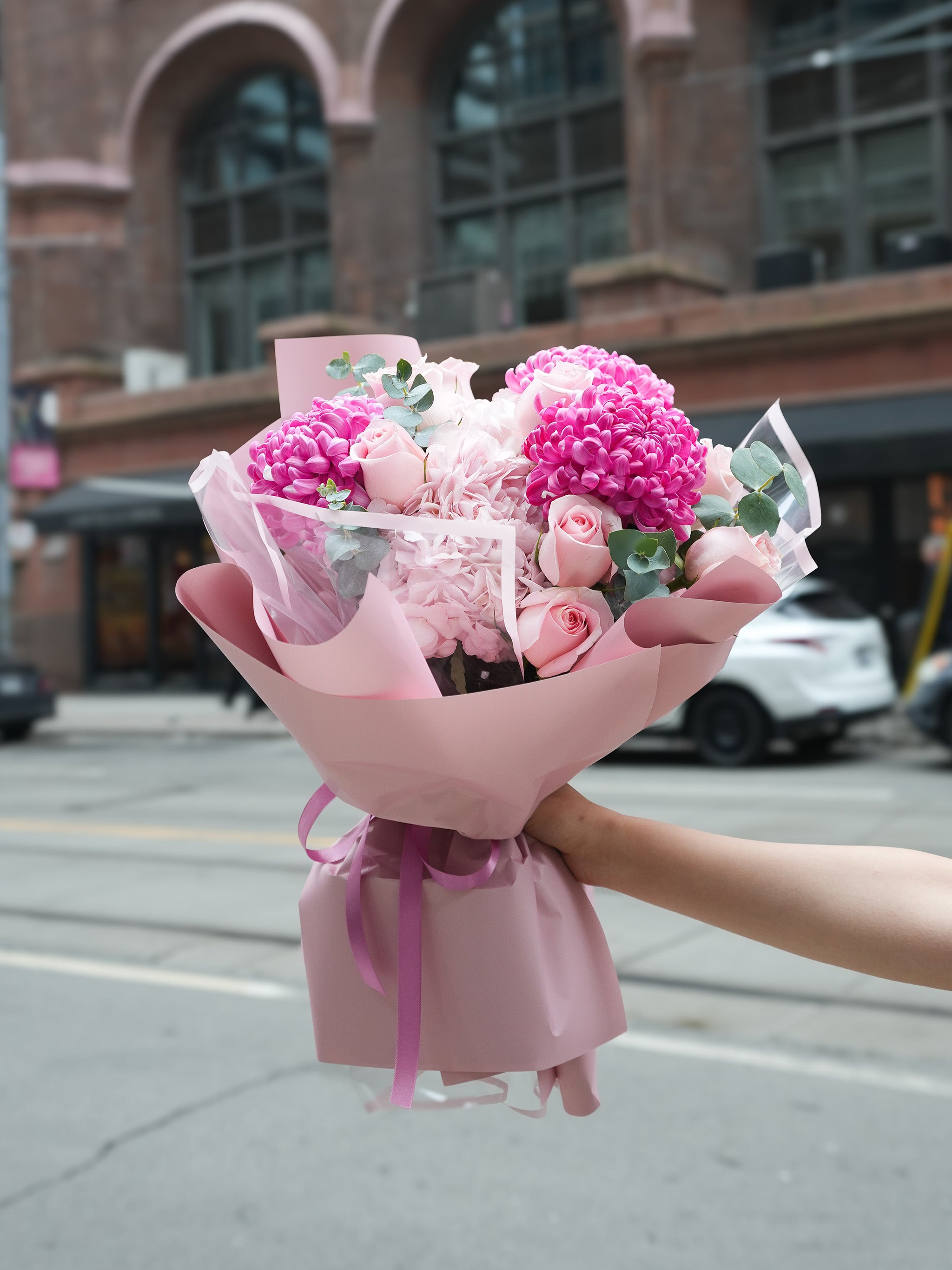 [VD] Flamingo Mist (가격이미 업뎃됨) - Flower & Plant Free Delivery | Toronto ...