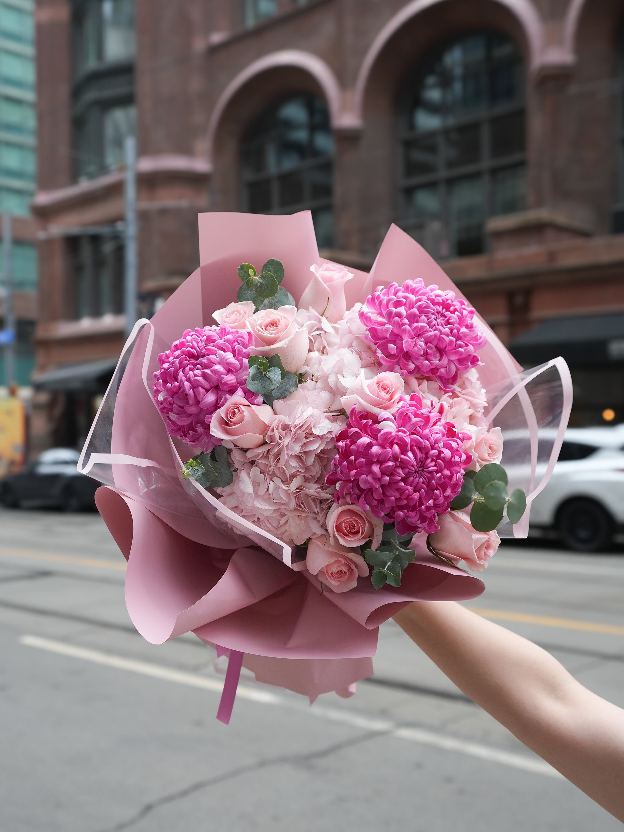 [VD] Flamingo Mist (가격이미 업뎃됨) - Flower & Plant Free Delivery | Toronto ...