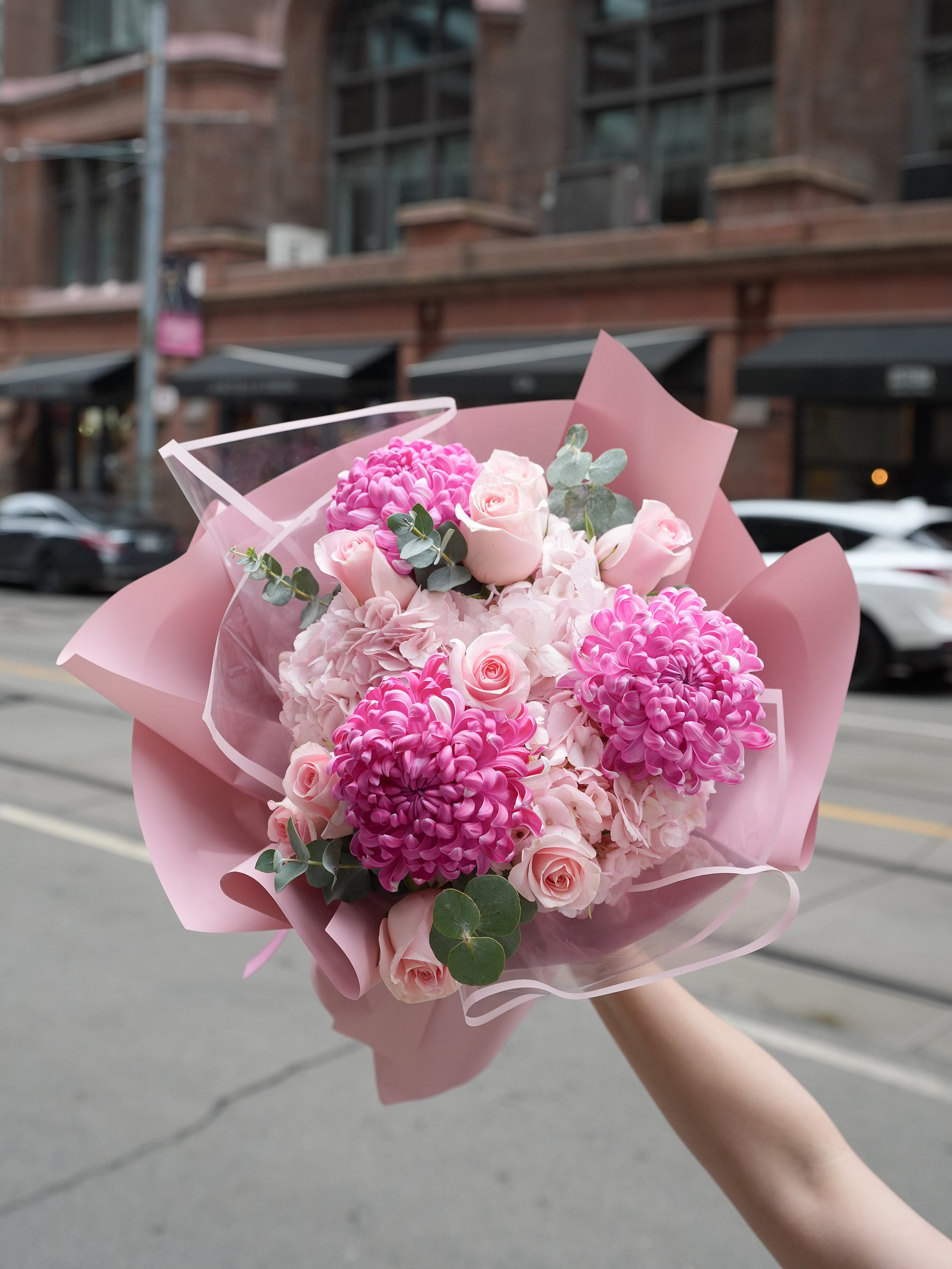 [VD] Flamingo Mist (가격이미 업뎃됨) - Flower & Plant Free Delivery | Toronto ...