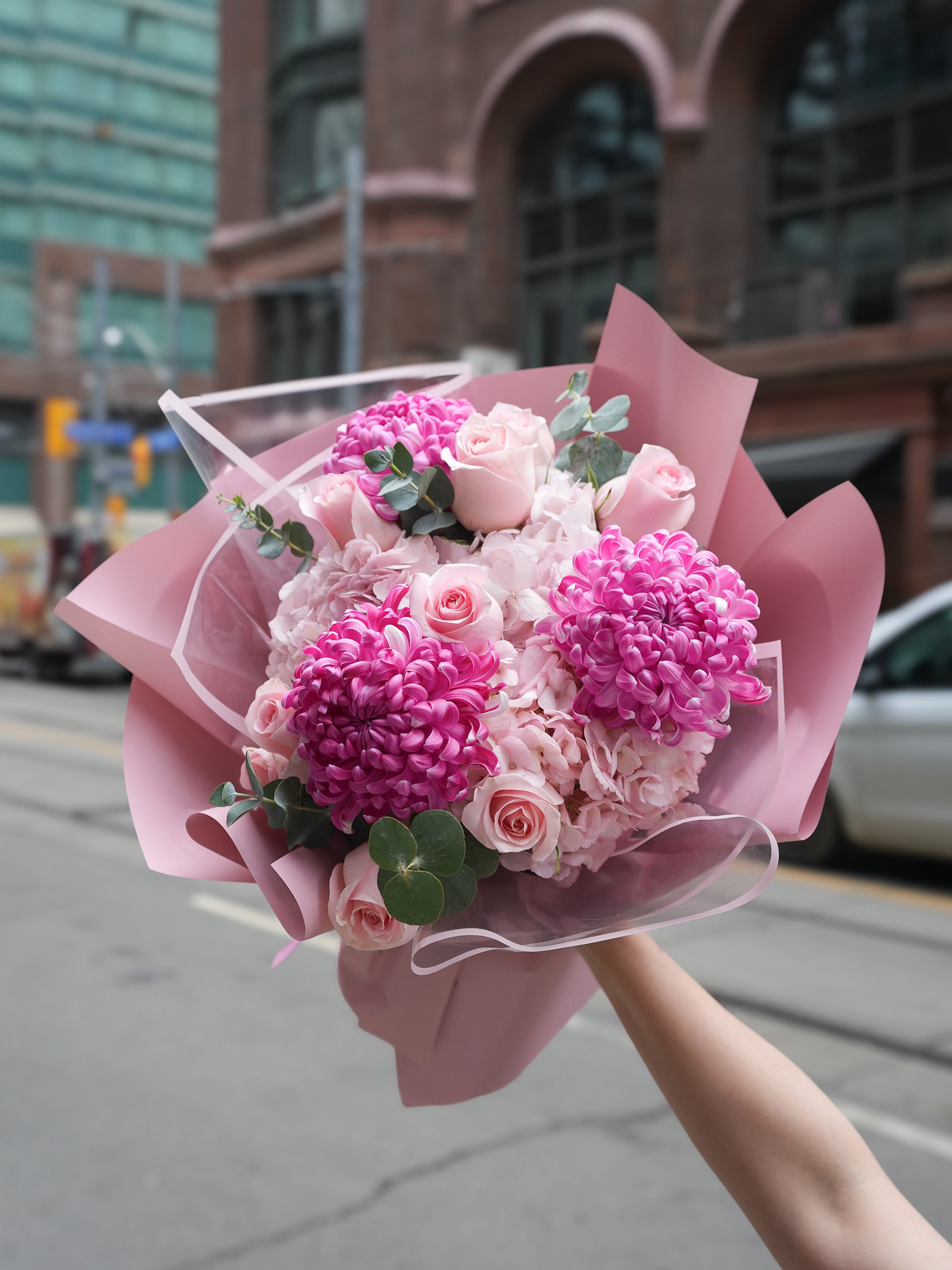 [VD] Flamingo Mist (가격이미 업뎃됨) - Flower & Plant Free Delivery | Toronto ...